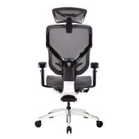China 5D Armrest Lumbar Support Wintex Mesh Adjustable Headrest Reclining Ergonomic Office Chairs for sale