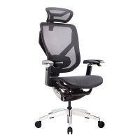 China 5D Armrest Lumbar Support Wintex Mesh Adjustable Headrest Reclining Ergonomic Office Chairs for sale