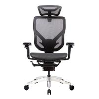 China 5D Armrest Lumbar Support Wintex Mesh Adjustable Headrest Reclining Ergonomic Office Chairs for sale