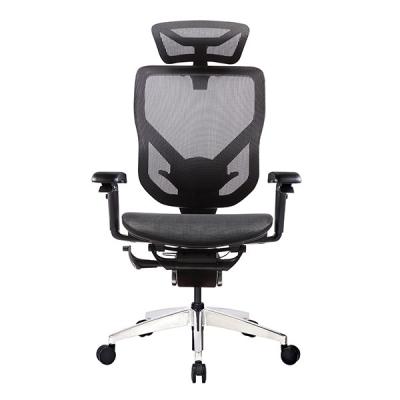 China 5D Armrest Lumbar Support Wintex Mesh Adjustable Headrest Reclining Ergonomic Office Chairs for sale