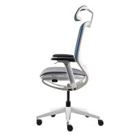 China High Back Adjustable With Wire Control Armrest Home Chair Lumbar Support Computer Chair Ergo Office Chair for sale