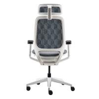 China High Back Adjustable With Wire Control Armrest Home Chair Lumbar Support Computer Chair Ergo Office Chair for sale