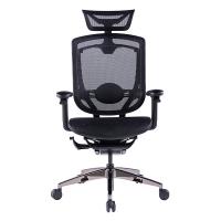 China Black Back Support Computer Desk Chair Multifunctional Adjustable  Ergonomic Swivel Office Chair for sale
