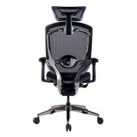 China Black Back Support Computer Desk Chair Multifunctional Adjustable  Ergonomic Swivel Office Chair for sale