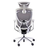 China Light Grey Plastic Frame Korean Mesh Breathable Summer Office Comfort Chair for sale