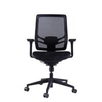 China High Strength Black PA Plastic Middle Cost Flexible Office Task Chairs for sale