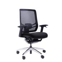 China inFlex BIFMA Office Seating Ergonomic Mesh Back Office Chair Swivel Manager Chair for sale