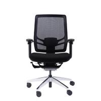 China inFlex BIFMA Office Seating Ergonomic Mesh Back Office Chair Swivel Manager Chair for sale