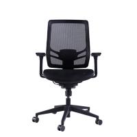 China Wintex Mesh Swivel Chair With Adaptive Twist Ergonomic Computer Task Chairs for sale