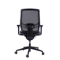 China Wintex Mesh Swivel Chair With Adaptive Twist Ergonomic Computer Task Chairs for sale