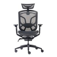 China Dvary 3D Armrest Swivel Office Chairs With Headrest Support Ergo Comfortable for sale
