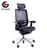 China Polished Height Adjustable Project Office Chairs Mesh Swivel Computer Ergonomic With Lumbar Support for sale