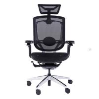 China Marrit Swivel Ergo Office Chair 5D Paddle Shift Umbar Support High Back for sale