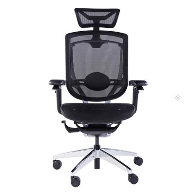 China Marrit Swivel Ergo Office Chair 5D Paddle Shift Umbar Support High Back for sale