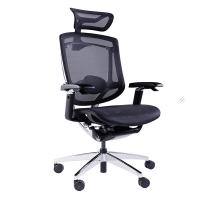China Marrit Swivel Ergo Office Chair 5D Paddle Shift Umbar Support High Back for sale