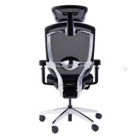 China Marrit Swivel Ergo Office Chair 5D Paddle Shift Umbar Support High Back for sale