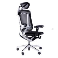 China Marrit Swivel Ergo Office Chair 5D Paddle Shift Umbar Support High Back for sale