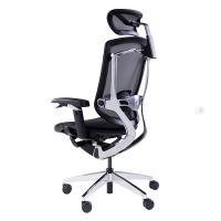 China Marrit Swivel Ergo Office Chair 5D Paddle Shift Umbar Support High Back for sale