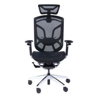 China Butterfly Backrest Swivel Office Chair Wintex Mesh Adjustable Lumbar Support for sale