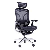China Butterfly Backrest Swivel Office Chair Wintex Mesh Adjustable Lumbar Support for sale