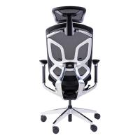 China Butterfly Backrest Swivel Office Chair Wintex Mesh Adjustable Lumbar Support for sale