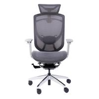 China GTCHAIR Full Mesh Ergonomic Executive Chair Multiple Adjustabilities Sync Sliding System for sale