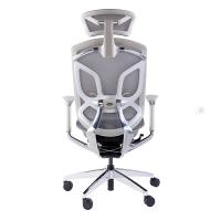 China Dvary Height Seats Ergonomic Office Chair Comfortable Polished Alu Base Light Grey for sale