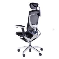China IFIT X Chromed Butterfly Dvary Mesh Office Chairs With Lumbar Support Tilting Ergonomic for sale