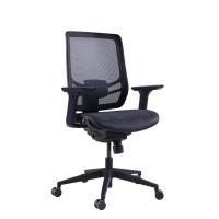 China GTCHAIR InFlex 5D Armrest Swivel Office Chairs GT - 350mm Lumbar Support Adjustment for sale