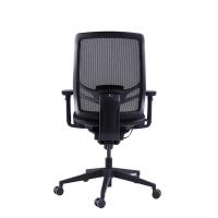 China GTCHAIR InFlex 5D Armrest Swivel Office Chairs GT - 350mm Lumbar Support Adjustment for sale