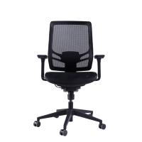 China GTCHAIR InFlex 5D Armrest Swivel Office Chairs GT - 350mm Lumbar Support Adjustment for sale