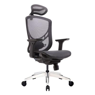 China High Back Swivel Project Office Chair Ergo Mesh Seating Paddle Control Mechanism for sale