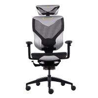 China Height Adjustment Swivel Gaming Office Chair Wintex Mesh Lumbar Support Headrest for sale
