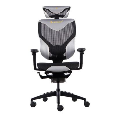 China Height Adjustment Swivel Gaming Office Chair Wintex Mesh Lumbar Support Headrest for sale