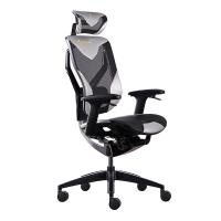 China Height Adjustment Swivel Gaming Office Chair Wintex Mesh Lumbar Support Headrest for sale