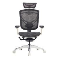 China 2022 GTCHAIR IVINO X  High-end Mesh Swivel Office Chair with Polished Aluminum Alloy Base、Lumbar Support and Headrest for sale