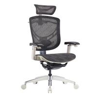 China 2022 GTCHAIR IVINO X  High-end Mesh Swivel Office Chair with Polished Aluminum Alloy Base、Lumbar Support and Headrest for sale