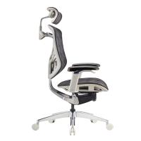 China 2022 GTCHAIR IVINO X  High-end Mesh Swivel Office Chair with Polished Aluminum Alloy Base、Lumbar Support and Headrest for sale