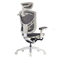 China 2022 GTCHAIR IVINO X  High-end Mesh Swivel Office Chair with Polished Aluminum Alloy Base、Lumbar Support and Headrest for sale