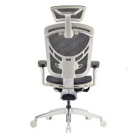 China 2022 GTCHAIR IVINO X  High-end Mesh Swivel Office Chair with Polished Aluminum Alloy Base、Lumbar Support and Headrest for sale