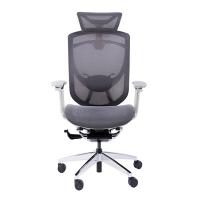 China Adjustable Lumbar Support Chair Grey Ergonomic Office Rotation for sale