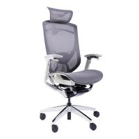 China Adjustable Lumbar Support Chair Grey Ergonomic Office Rotation for sale