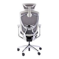 China Adjustable Lumbar Support Chair Grey Ergonomic Office Rotation for sale