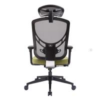 China Z Mesh Adjustable Office Chair Back Foam Seat Ergonomic Computer for sale