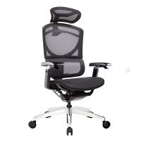 China High Back Ergonomic Office Chair Mesh Swivel Office With Headrest Lumbar Support for sale