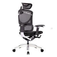 China High Back Ergonomic Office Chair Mesh Swivel Office With Headrest Lumbar Support for sale