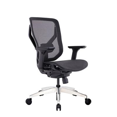 China Vida M Ergonomic Office Chair Lumbar Support Adjustable Arms High Back for sale
