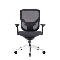 China Vida M Ergonomic Office Chair Lumbar Support Adjustable Arms High Back for sale