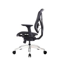 China Vida M Ergonomic Office Chair Lumbar Support Adjustable Arms High Back for sale