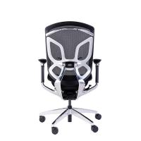 China Ergonomic Adjustable Office Chair GT - 350mm Butterfly Backrest Lumbar Support for sale